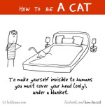 Illustrated: How To Become A Cat Today!
