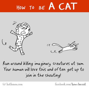 Illustrated: How To Become A Cat Today!