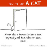Illustrated: How To Become A Cat Today!