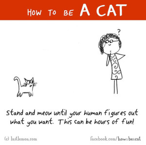 Illustrated: How To Become A Cat Today!