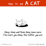 Illustrated: How To Become A Cat Today!