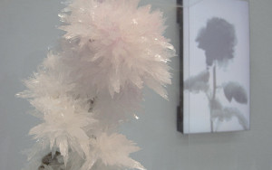 10 Clever Artists Who Let Nature Do The Hard Work...