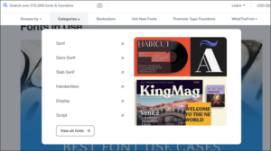 MyFonts Review (2025) • THE ENDEARING DESIGNER