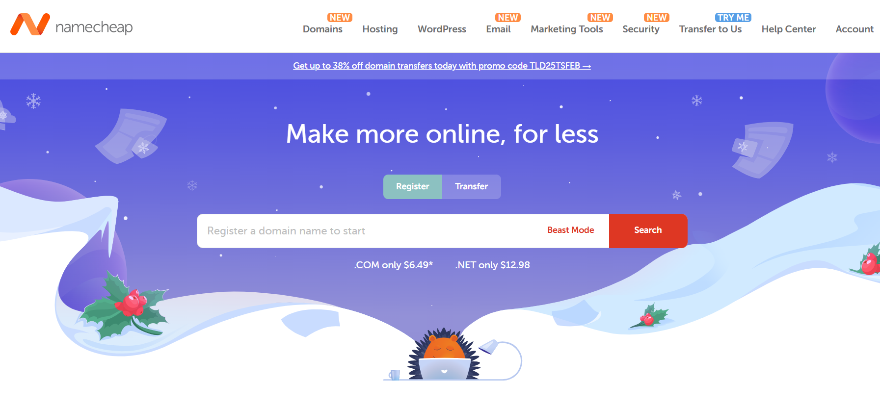 NAMECHEAP Discount Coupon Code @ 56% Off Promo Special Offer (2026) • THE ENDEARING DESIGNER